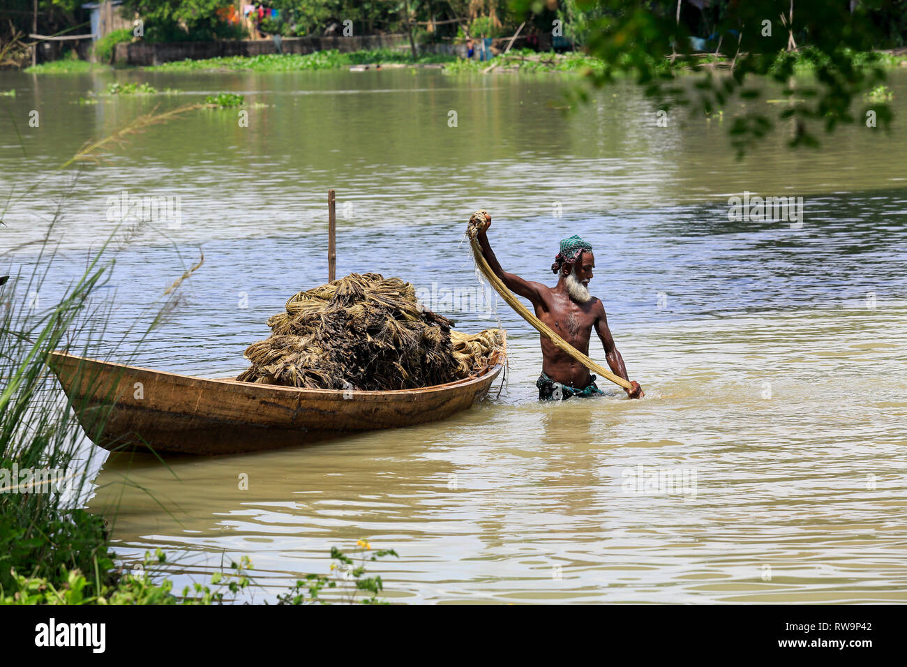 A farmer washing jute fibres in a marsh. Faridpur, Bangladesh Stock ...
