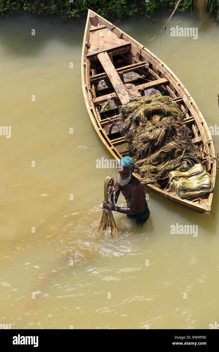 A farmer washing jute fibres in a marsh. Faridpur, Bangladesh Stock ...