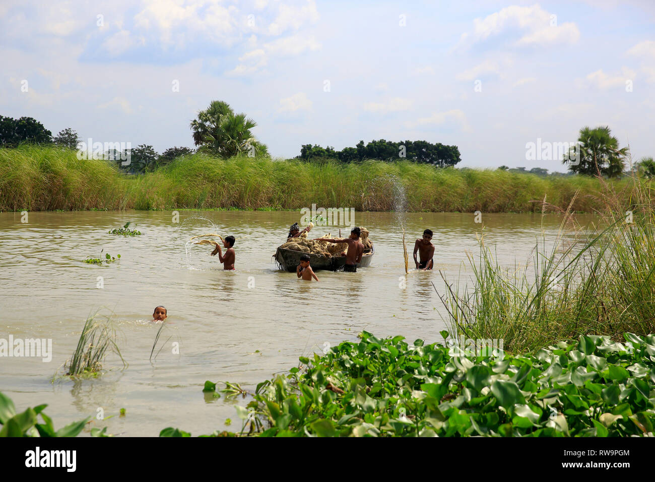 Farmers washing jute fibres in the marsh in Faridpur, Bangladesh Stock ...
