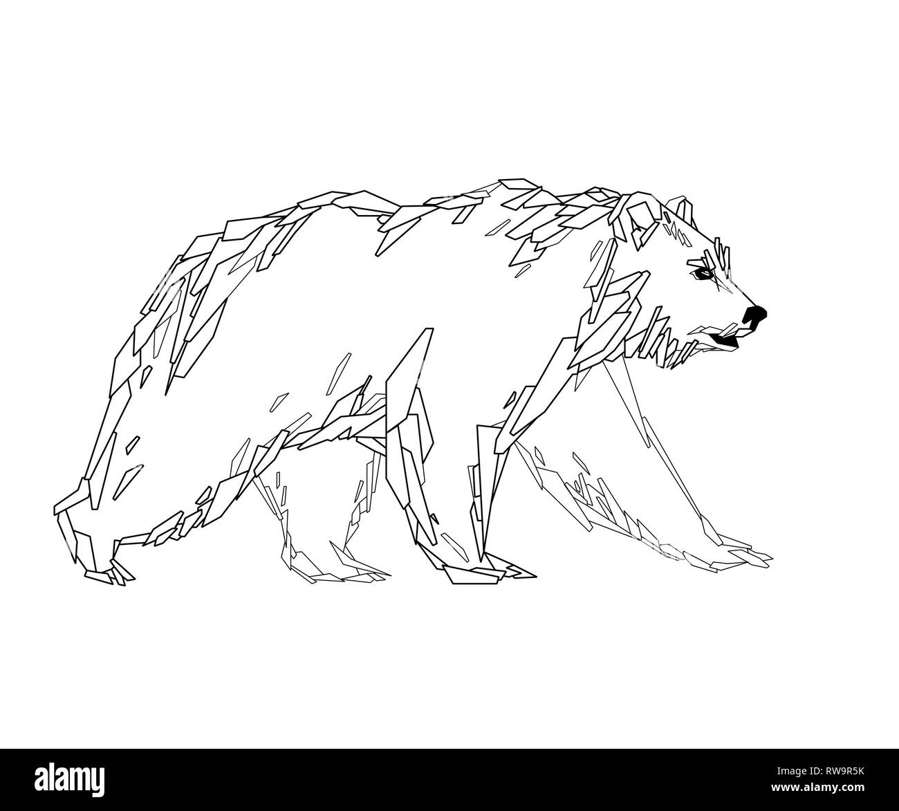 Geometric Bear Drawing