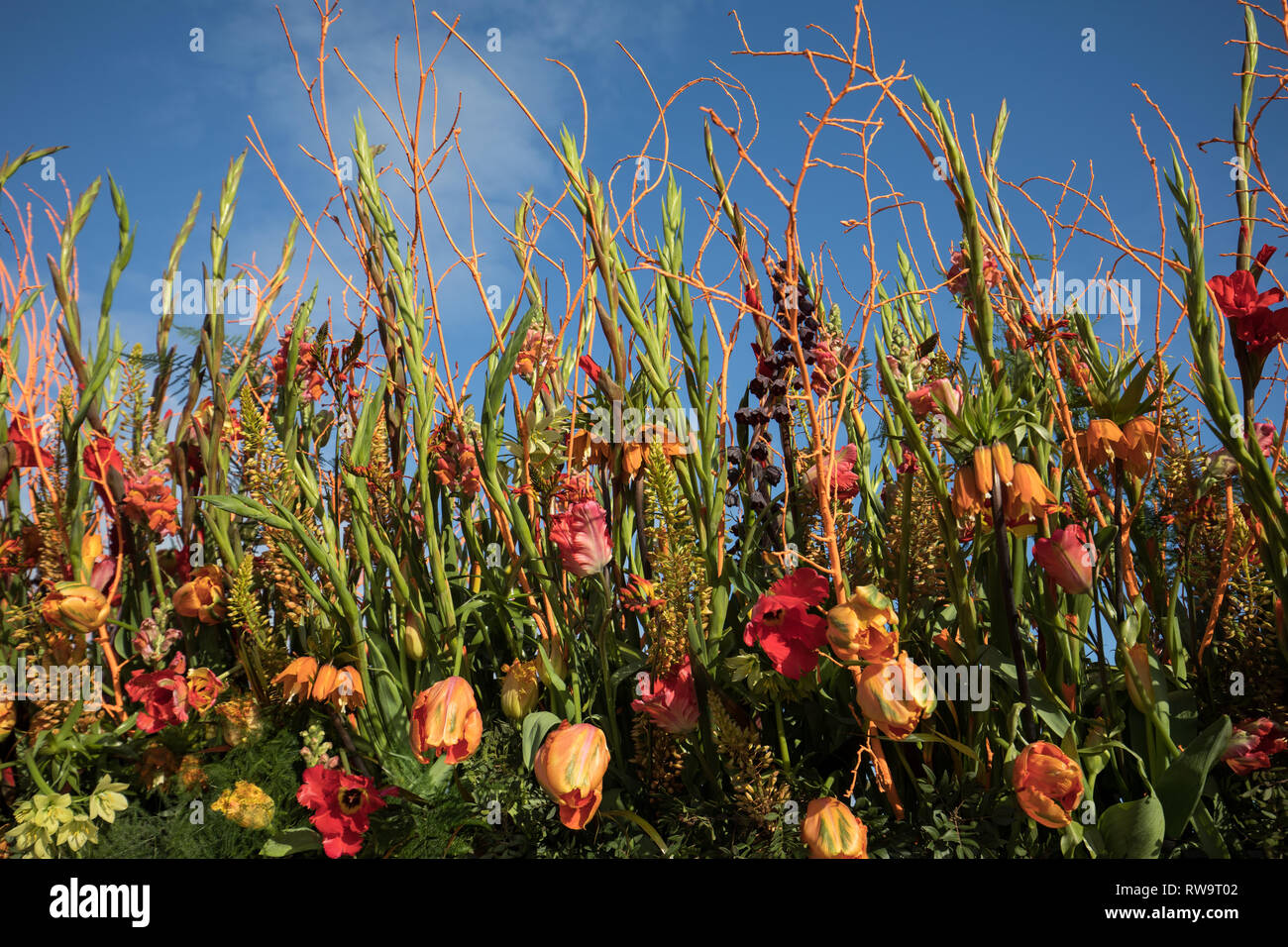 Floristic decoration with tropical flowers against a blue sky Stock ...