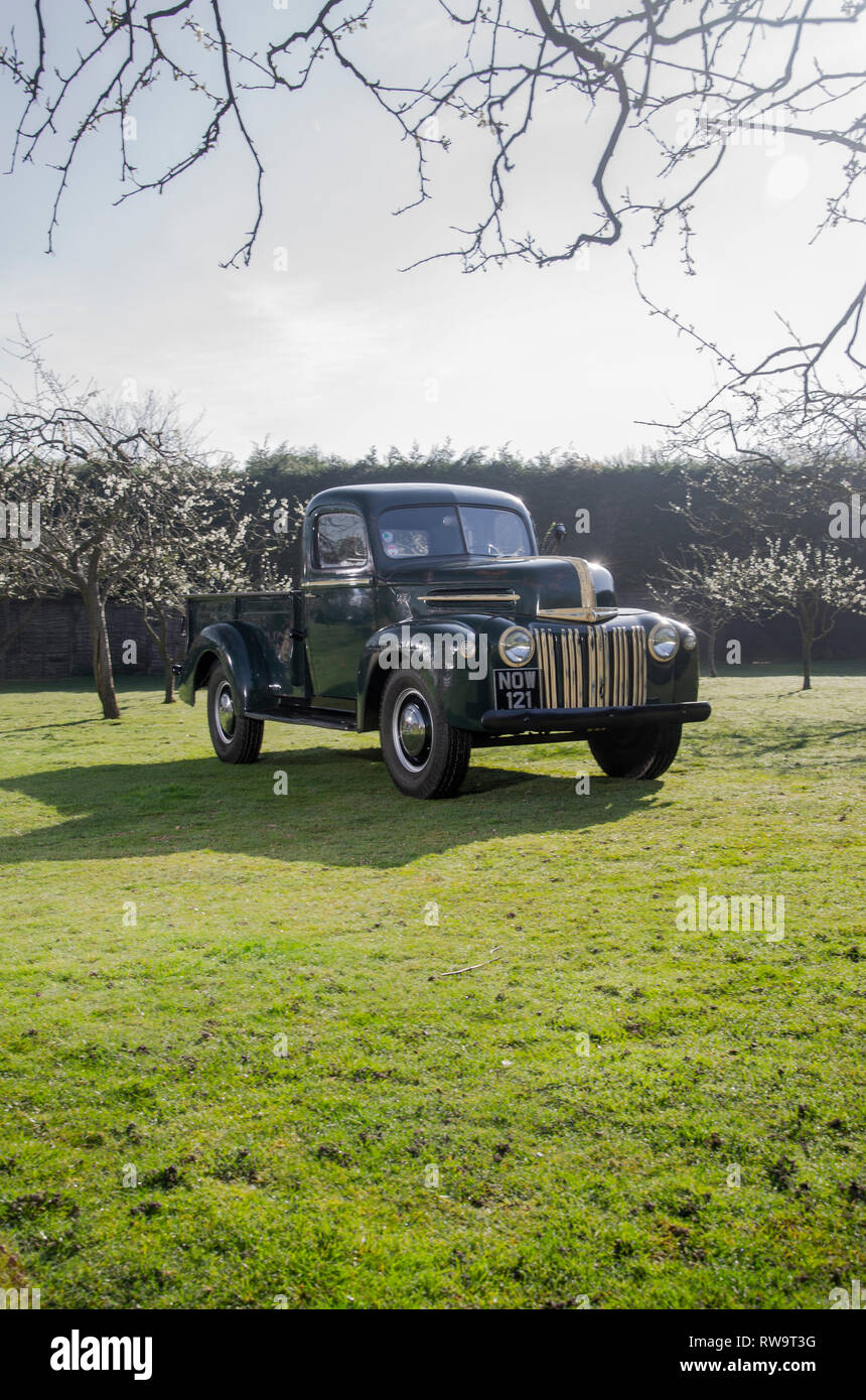 1947 Ford One Ton pick up truck, classic American truck Stock Photo - Alamy