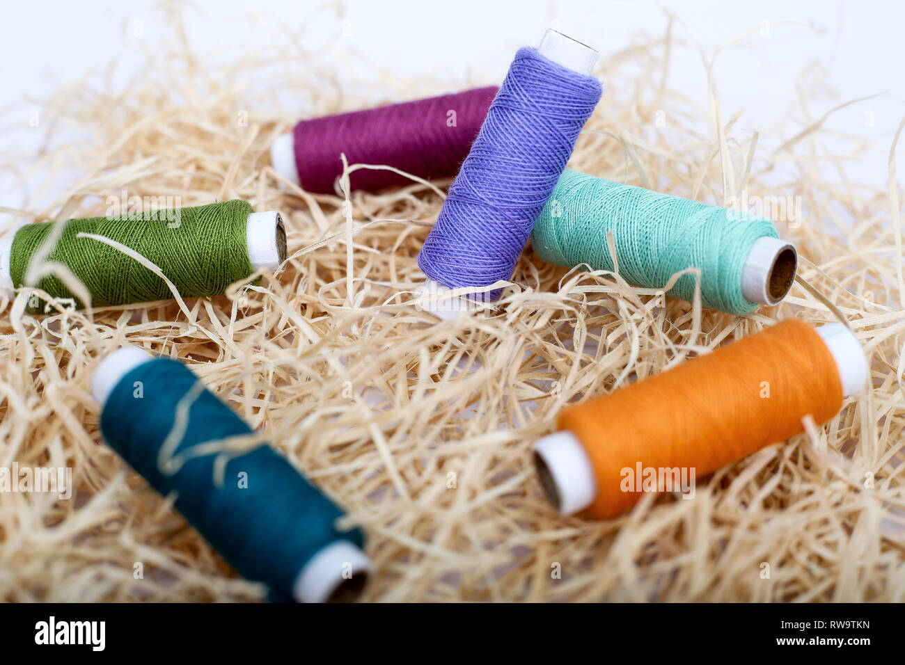 Picture of sewing thread on the rafi grass. Isolated on the white ...