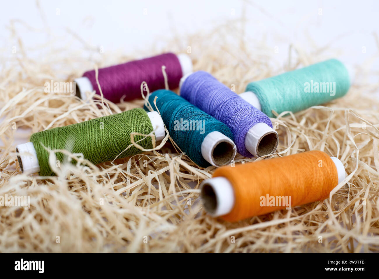 Picture of Colored thread on the rafi grass. Isolated on the white ...