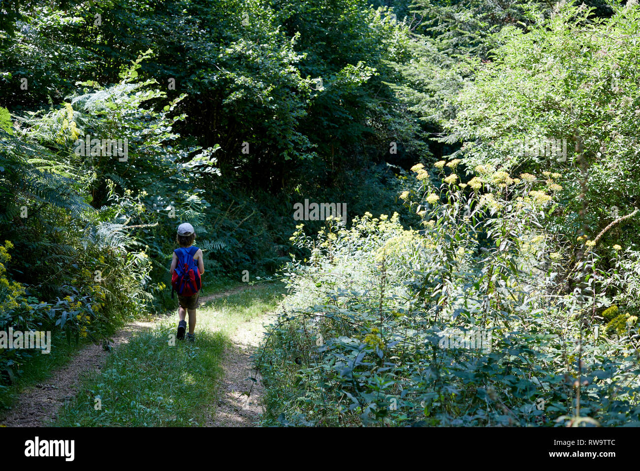 Child walking hi-res stock photography and images - Alamy