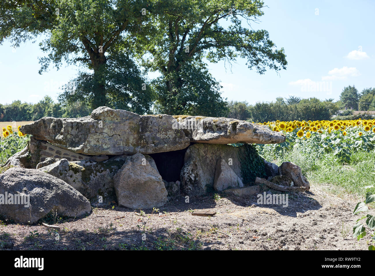 Prehistoric burial mound / barrow, France Stock Photo - Alamy