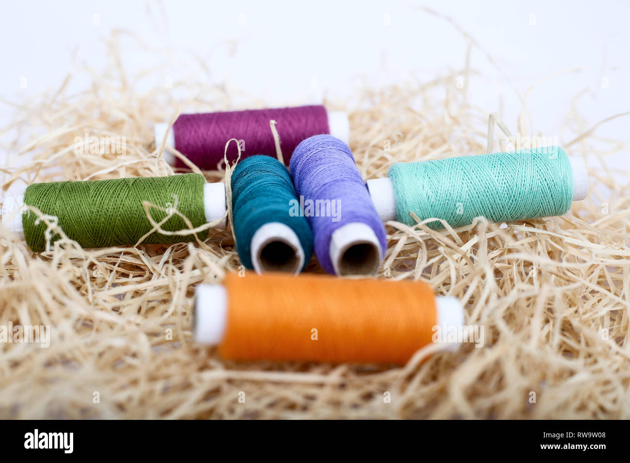 Multicolor sewing thread on the rafi grass. Isolated on the white ...