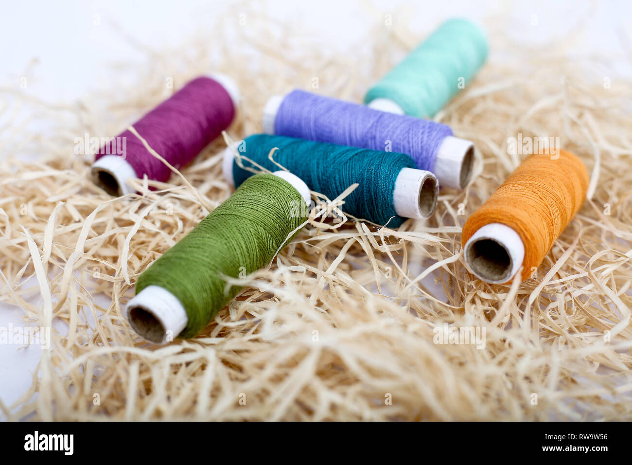 Multi Colored sewing thread on the rafi grass. Isolated on the white ...