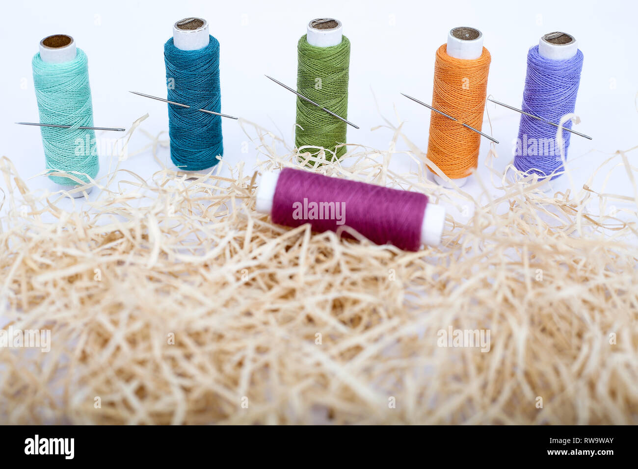 Picture of multi Colored sewing thread with needle on the rafi grass ...