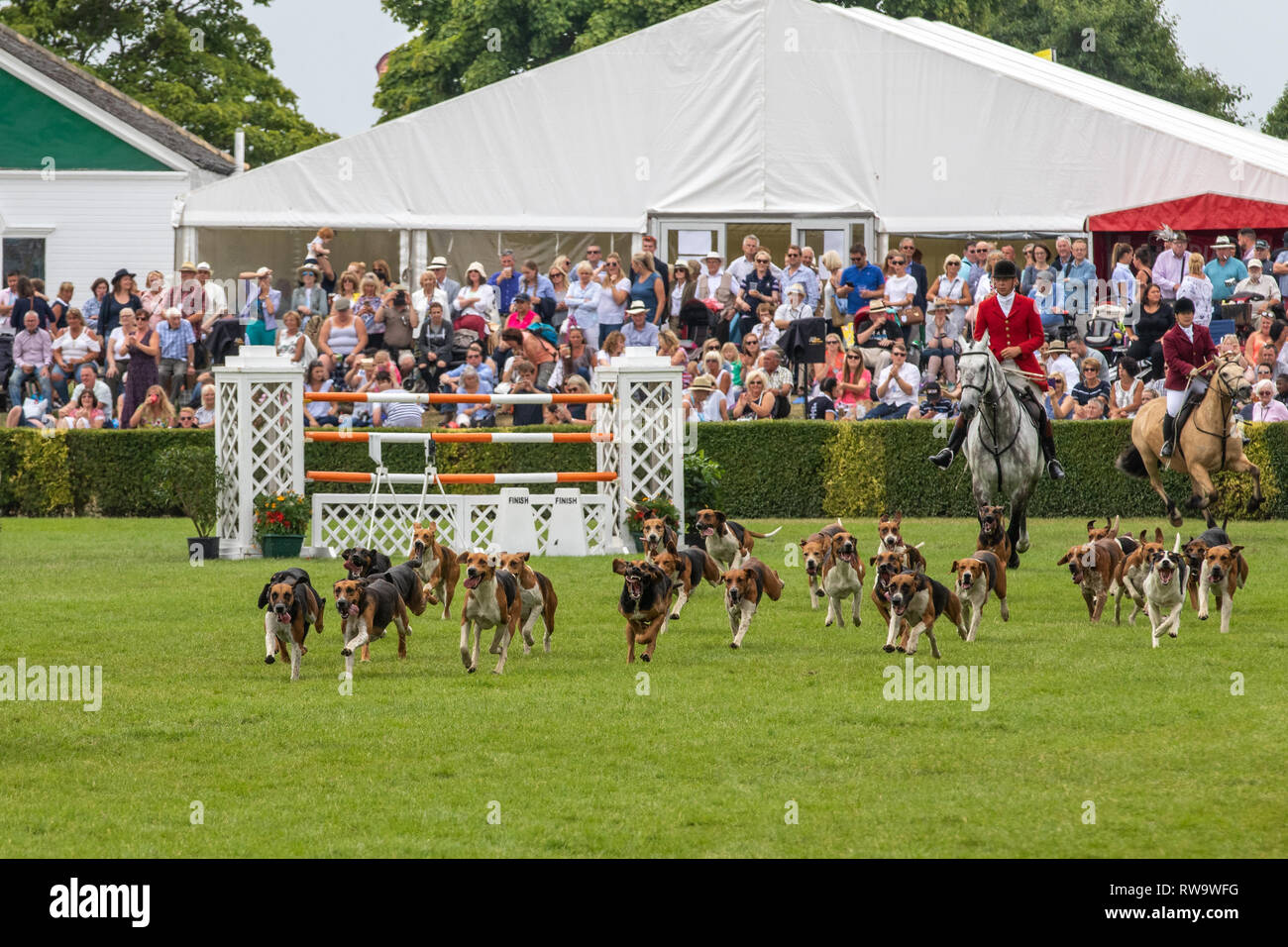 Harrogate, North Yorkshire, UK - July 12th, 2018: Hunt leaders led ...