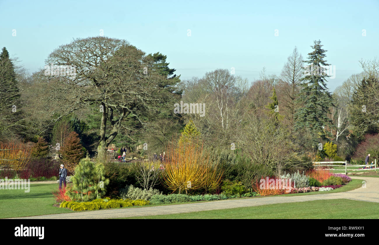 Spring, Harlow Carr Gardens Stock Photo - Alamy