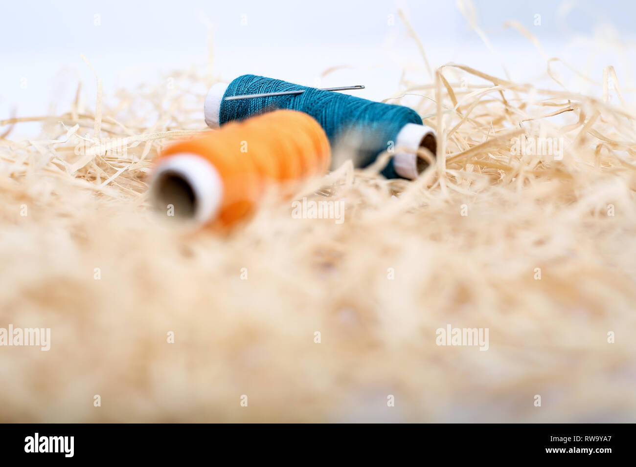 Portrait of two sewing thread with needle. Isolated on the white ...