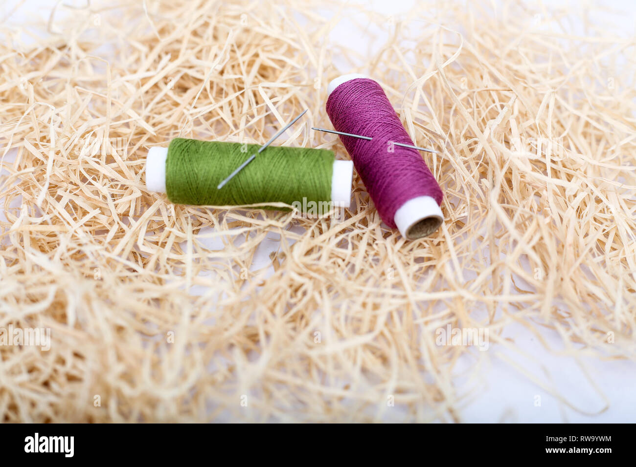 Picture of two thread with two needle on the rafi grass. Isolated on ...