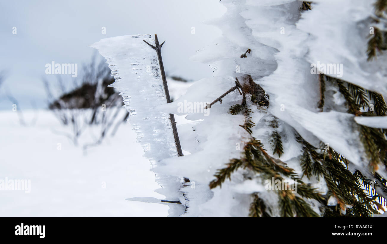 Ebensee hi-res stock photography and images - Alamy