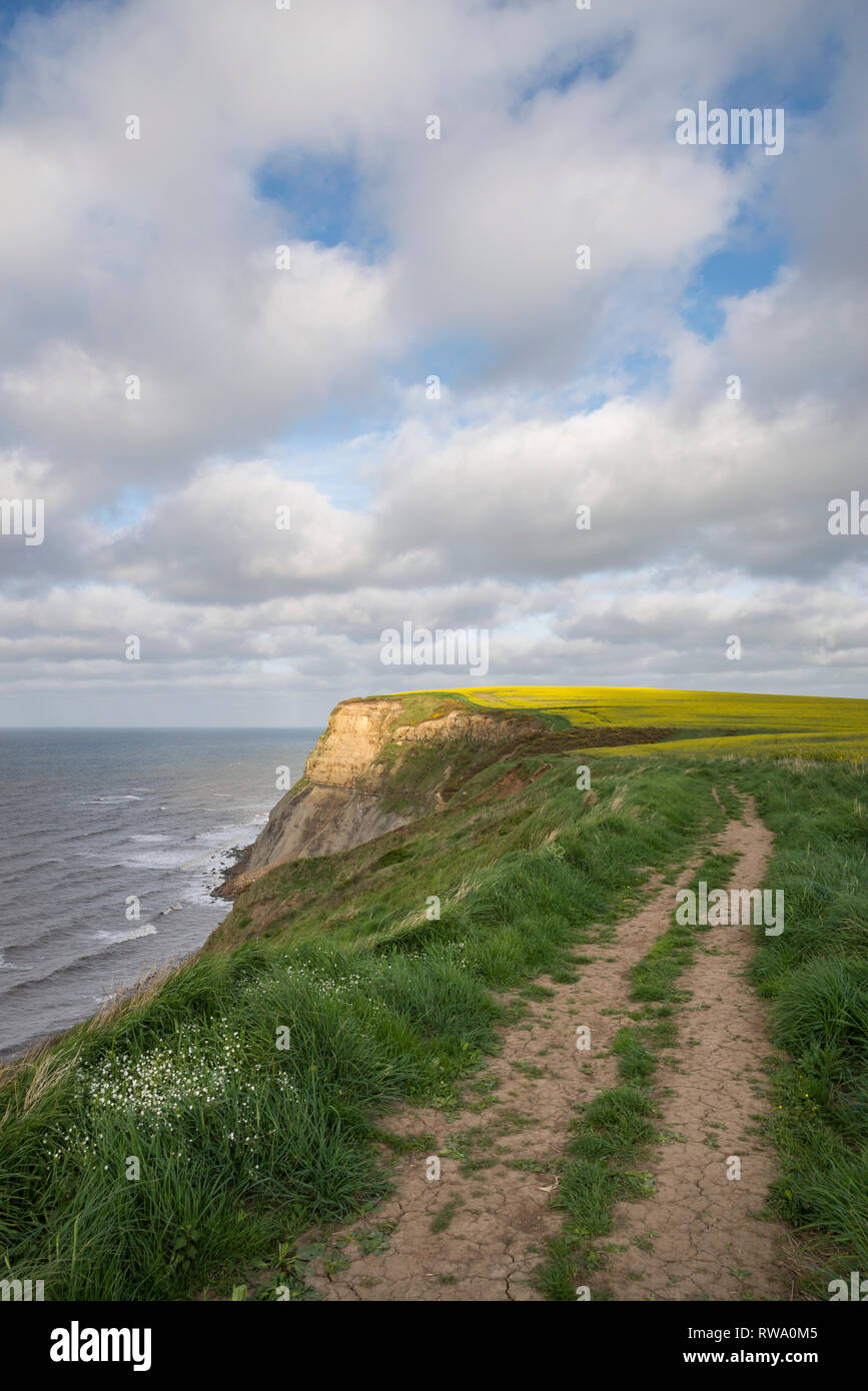 Coastline at Port Mulgrave on the Cleveland Way, North Yorkshire ...