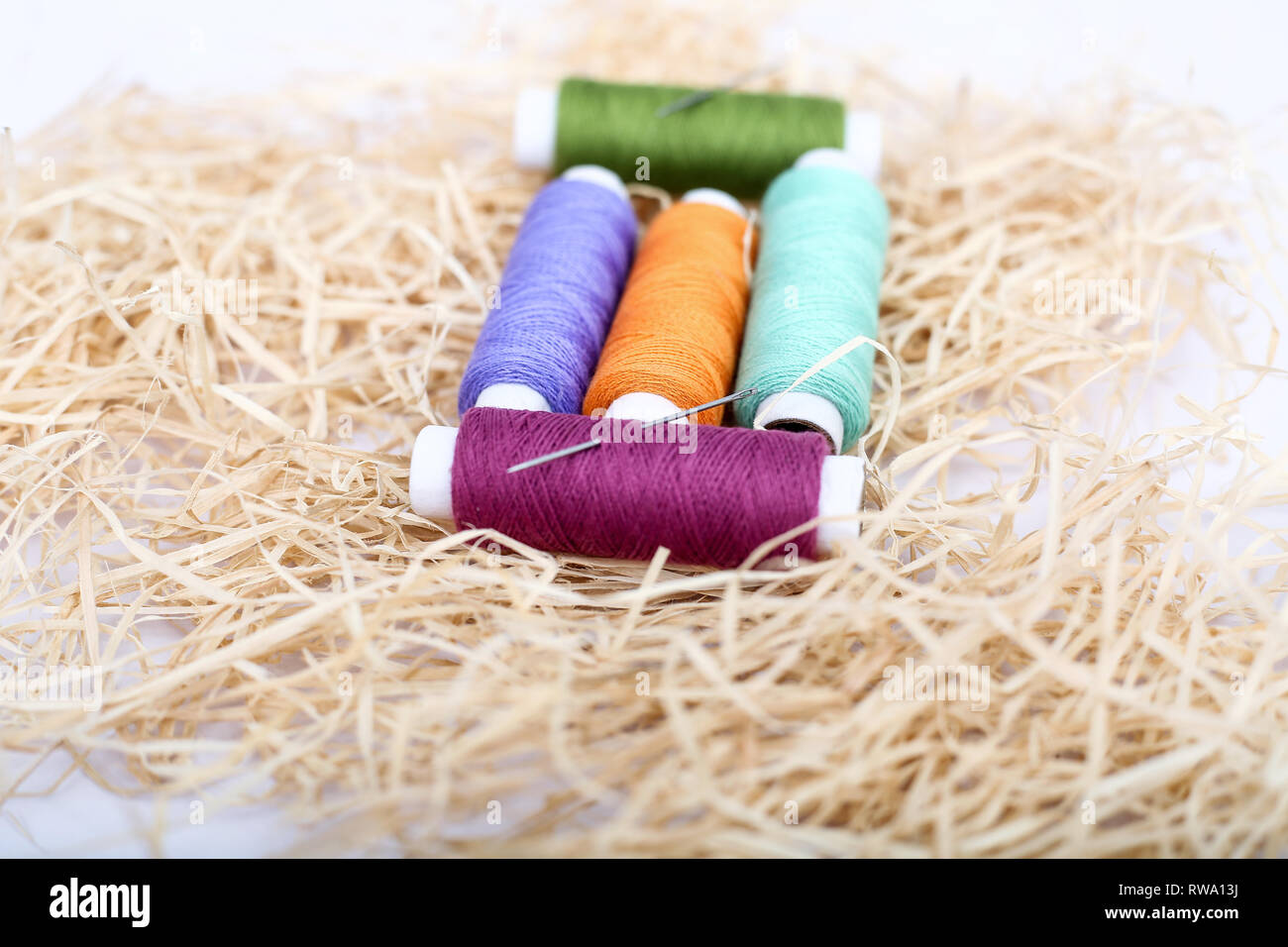 Picture of sewing thread with needle on the rafi grass. Isolated on the ...