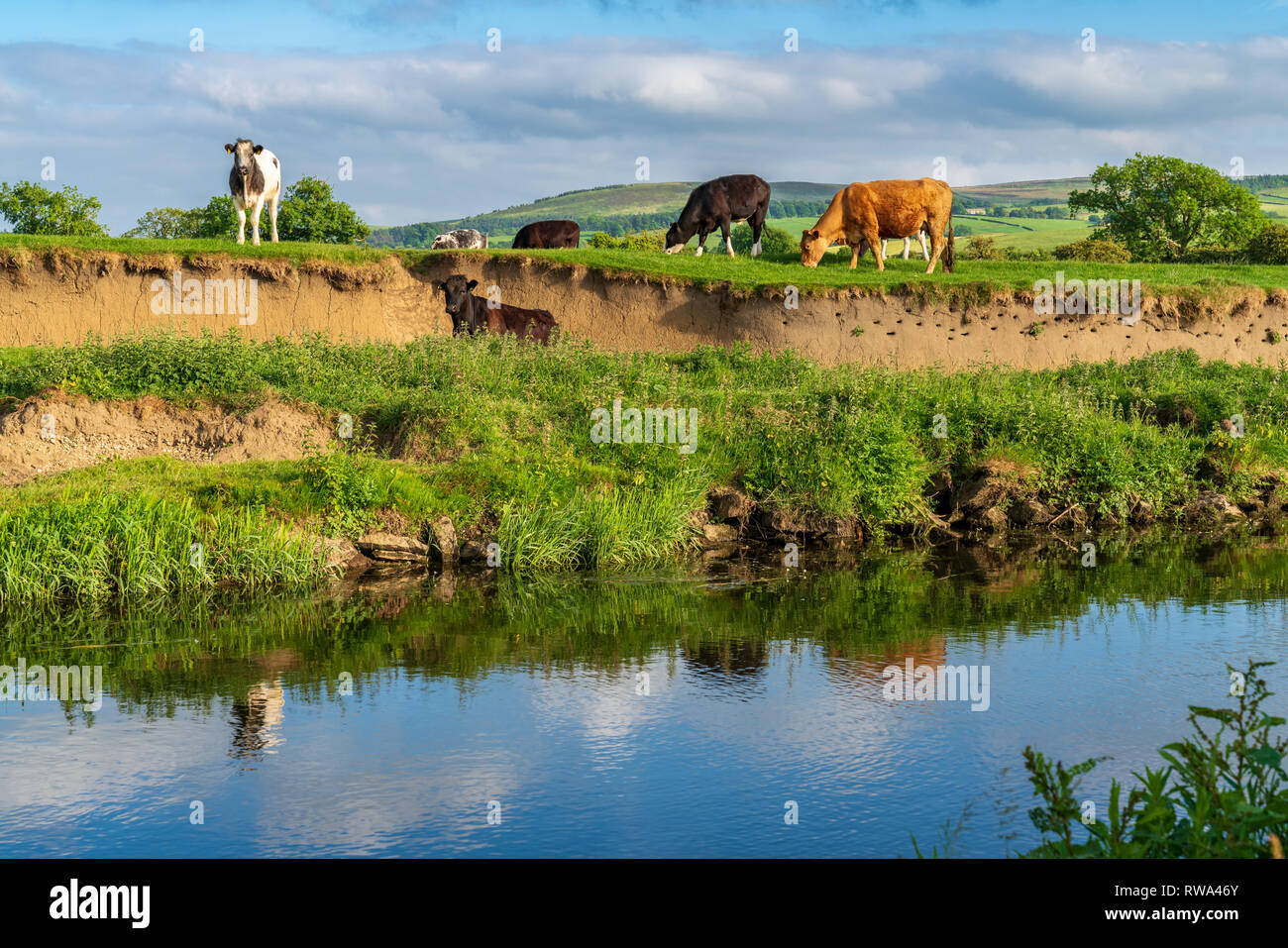 Carleton in craven hi-res stock photography and images - Alamy