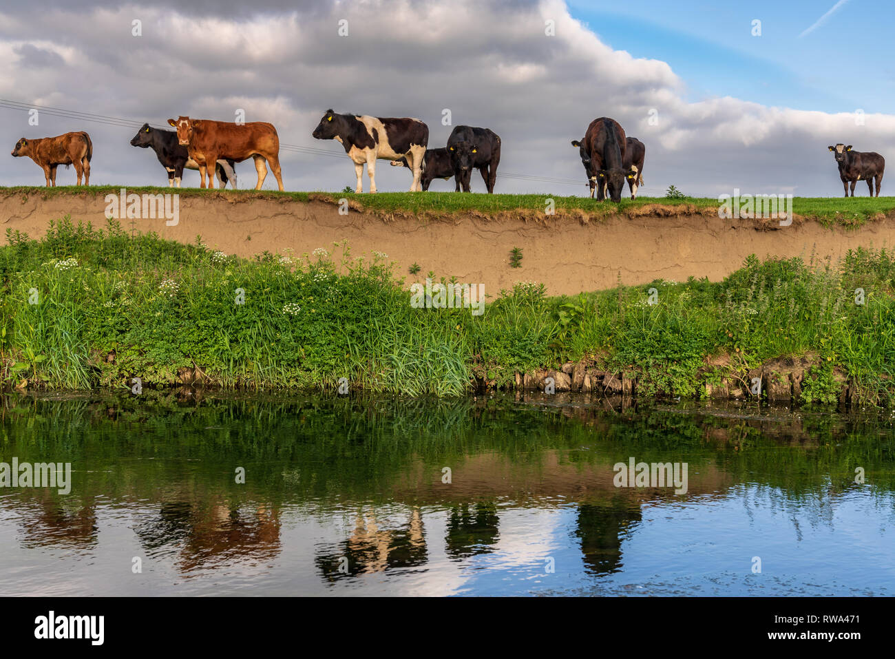 Carleton north yorkshire hi-res stock photography and images - Alamy