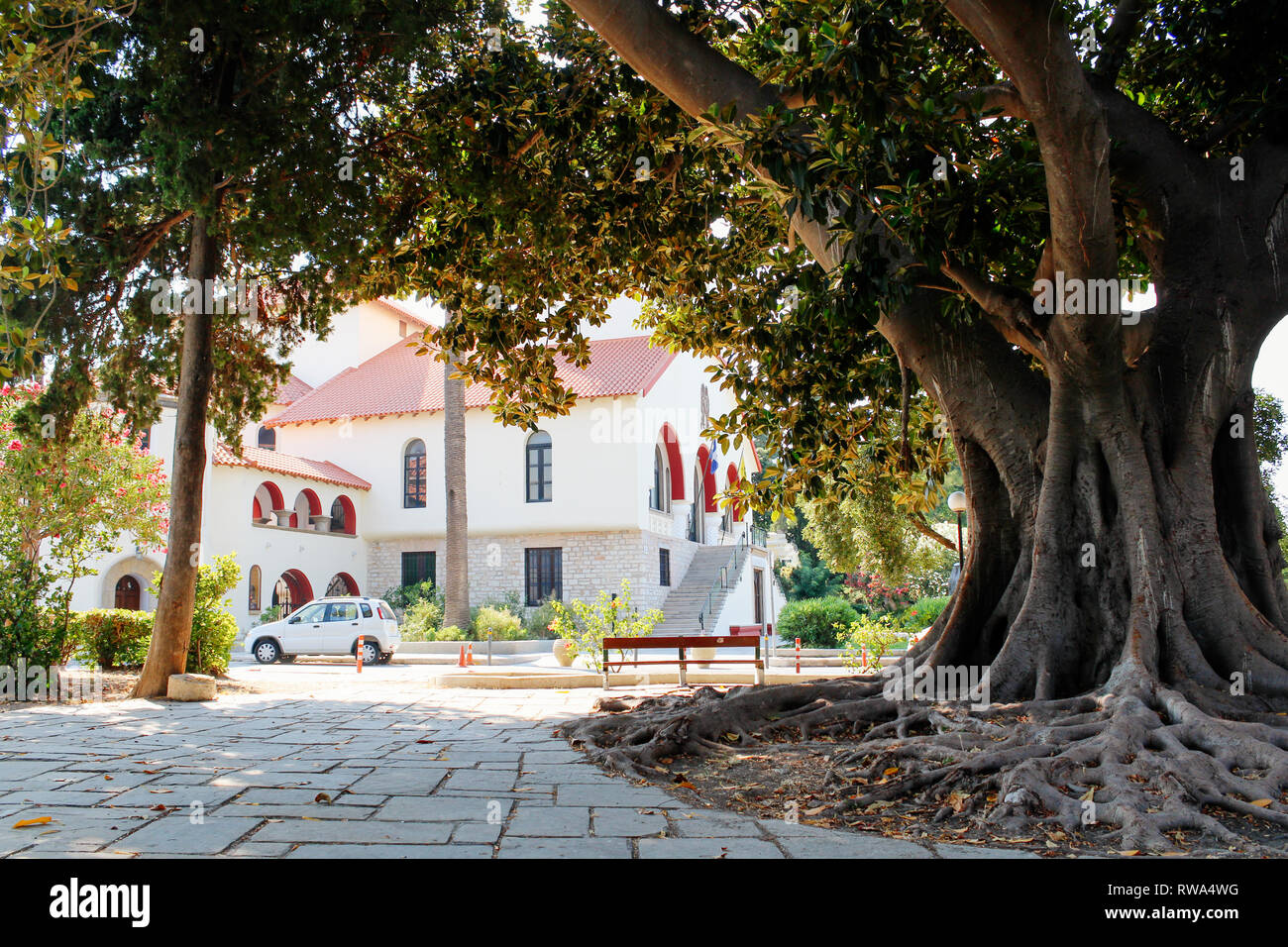 Road town island roots hi-res stock photography and images - Alamy