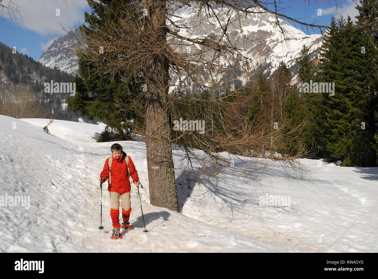 Plockenpass, Austria. The valley of the Anger stream in winter. A woman ...