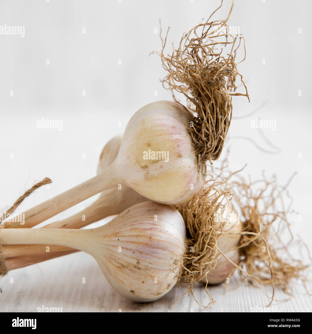 Garlic bulbs on white wooden background, side view. Close up Stock ...