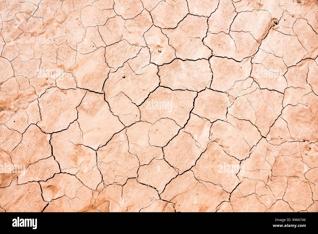 Dry cracked ground soil hi-res stock photography and images - Alamy