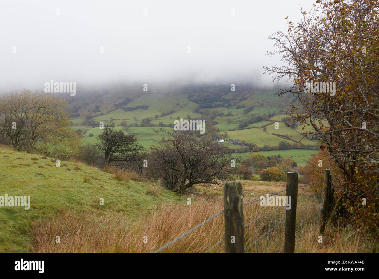 Misty Yorkshire countryside Stock Photo - Alamy