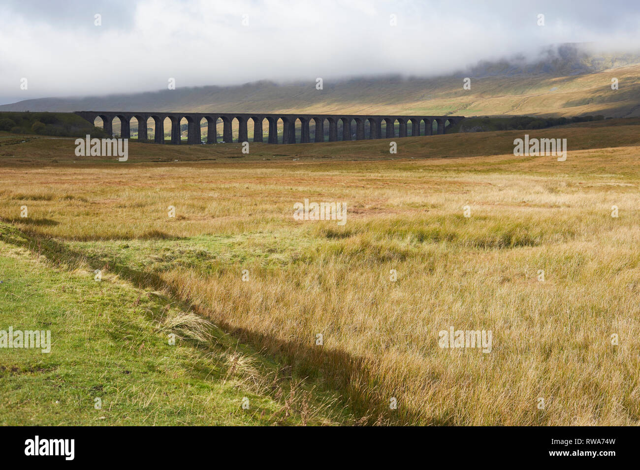 Ribblehead viaduct, Yorkshire Stock Photo - Alamy