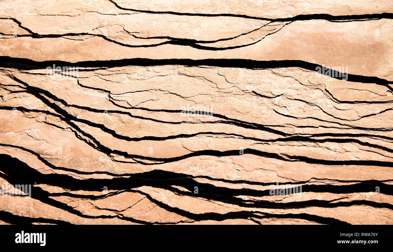 Sandstone rocks, structure, detail, Canyonlands National Park, Utah ...