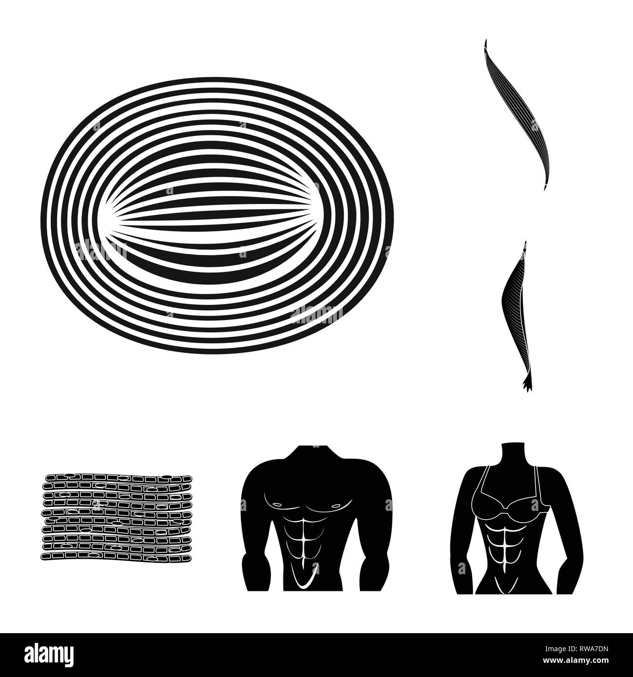 Vector design of human and body icon. Set of human and cells vector ...