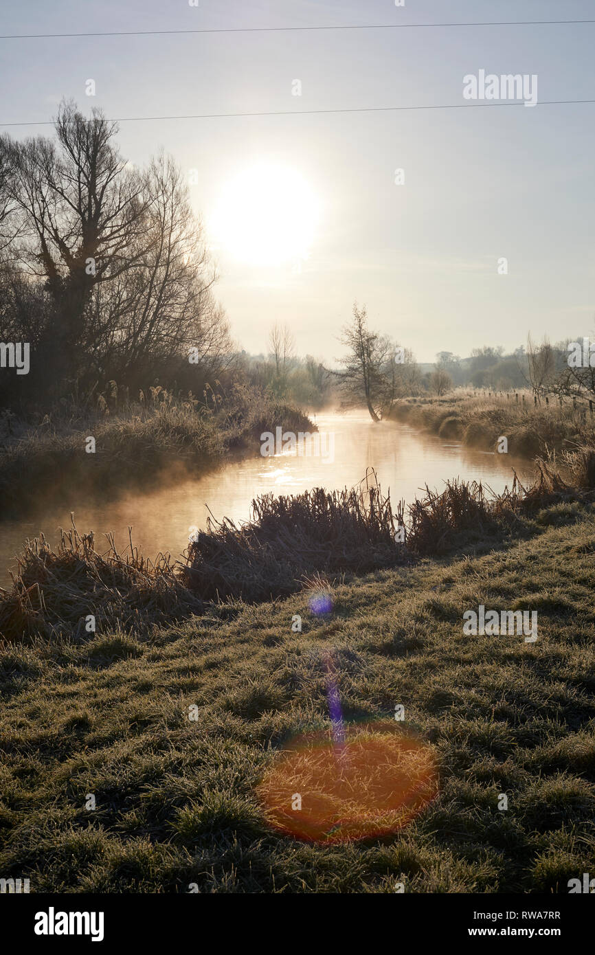 Water meadow hi-res stock photography and images - Alamy