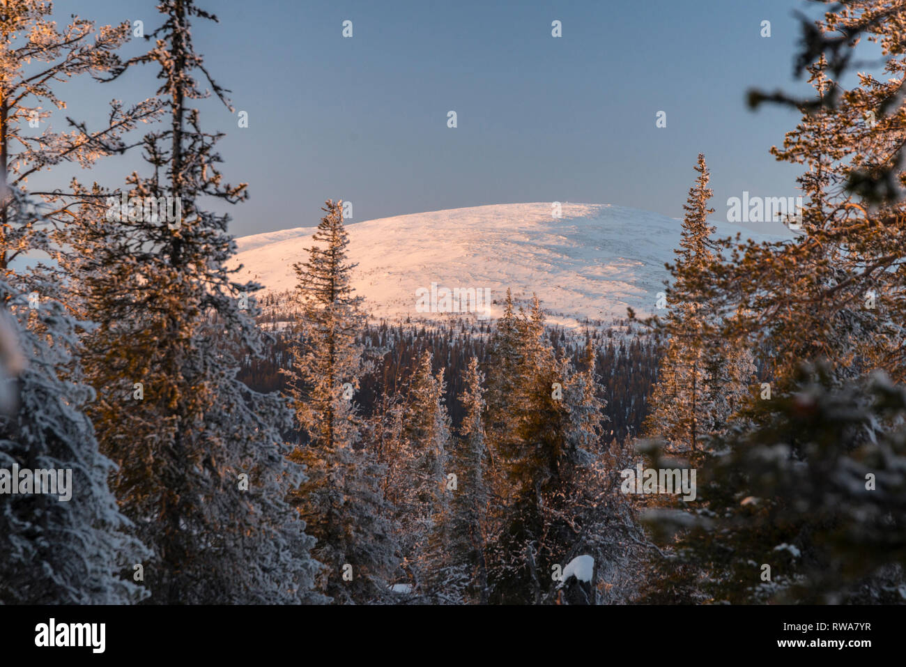 Fells in Muonio, Lapland, Finland Stock Photo - Alamy