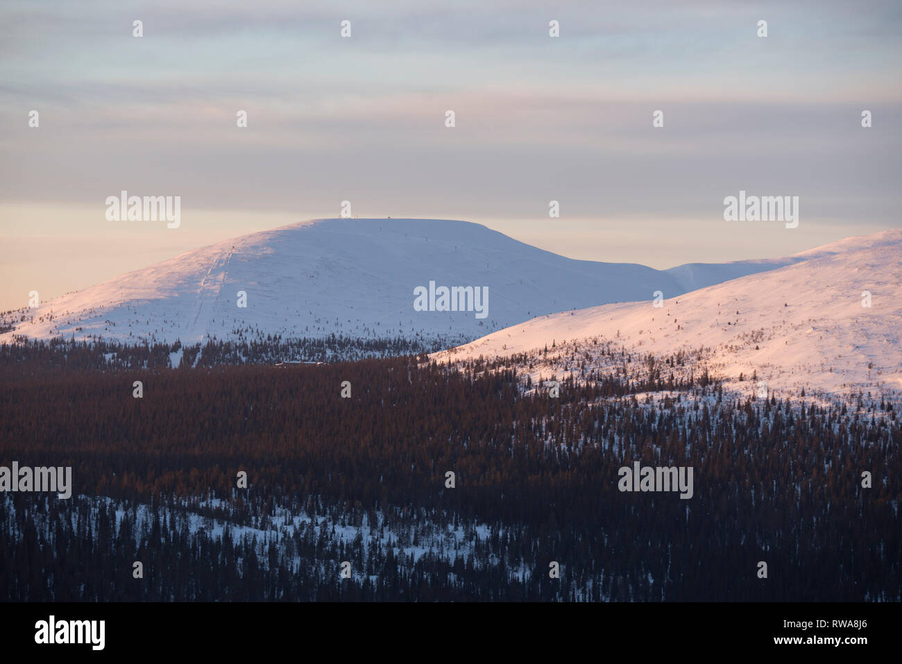 Fells in Muonio, Lapland, Finland Stock Photo - Alamy