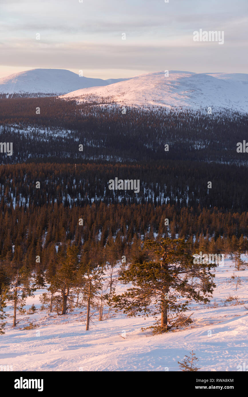Spring in lapland hi-res stock photography and images - Alamy