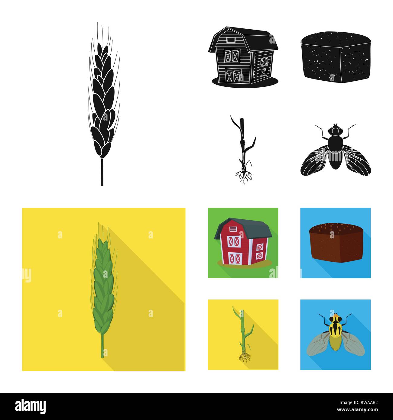 spring,granary,bread,stem,fly,spike,building,root,insect,durum,industry ...