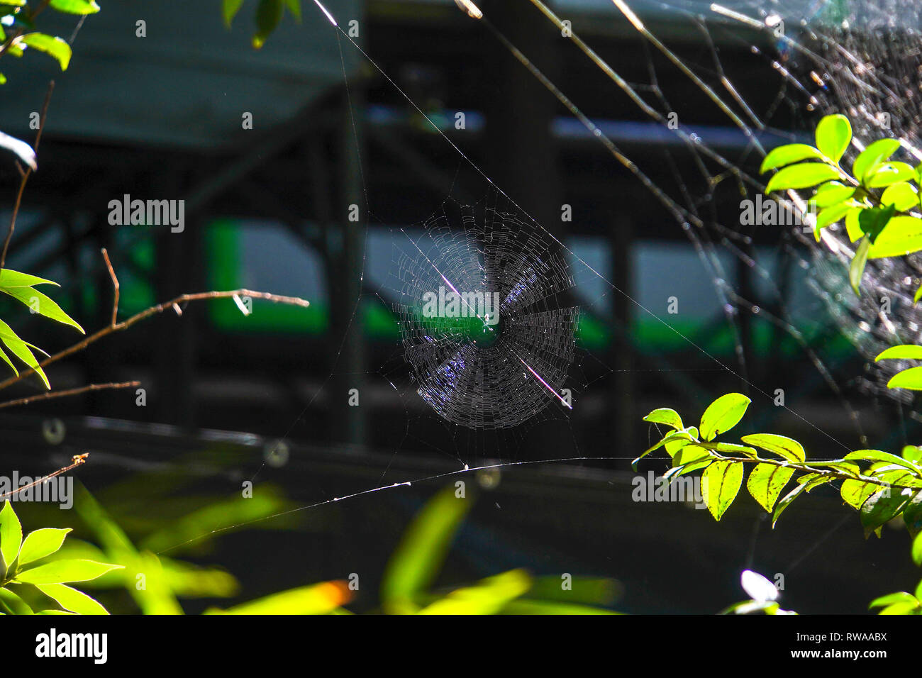 Web interlocking pattern hi-res stock photography and images - Alamy