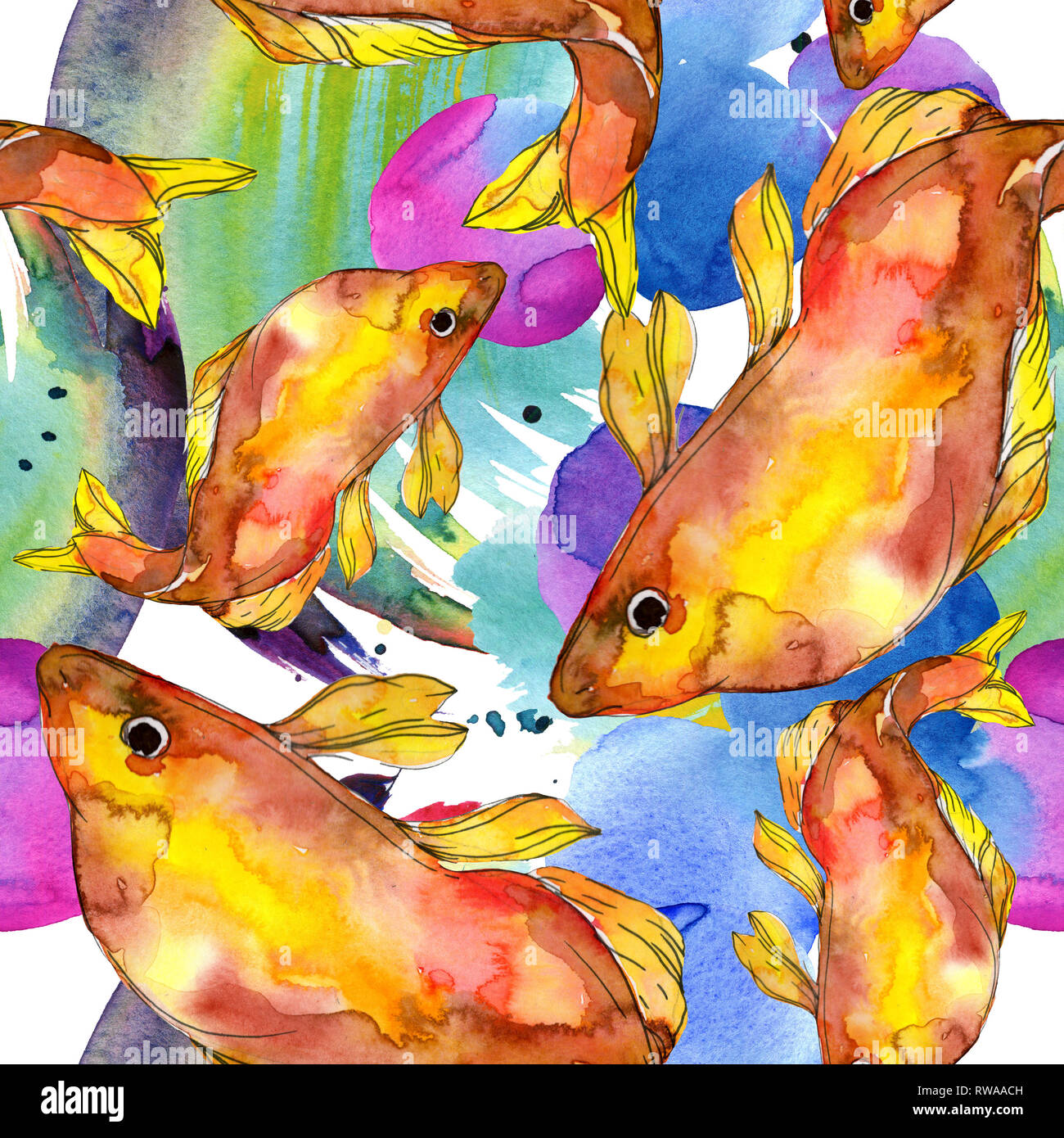 Spotted aquatic underwater colorful fish set. Red sea and exotic fishes ...
