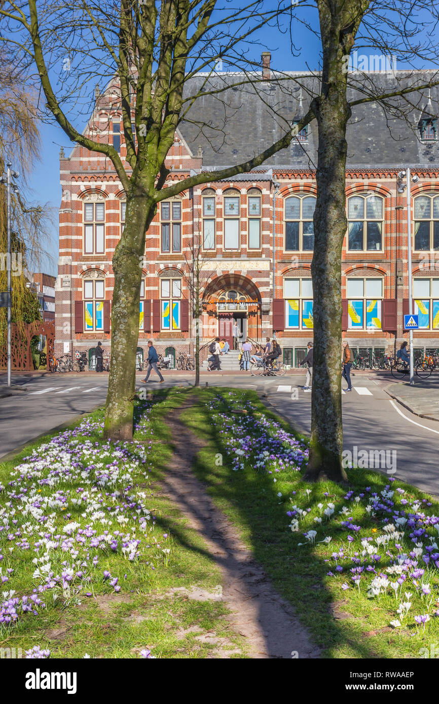 Crocuses in front of the former Groningen Museum building Stock Photo ...