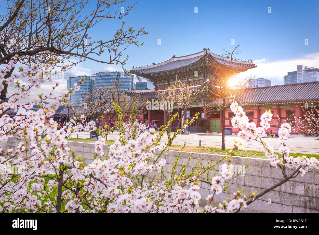Spring in seoul hi-res stock photography and images - Alamy