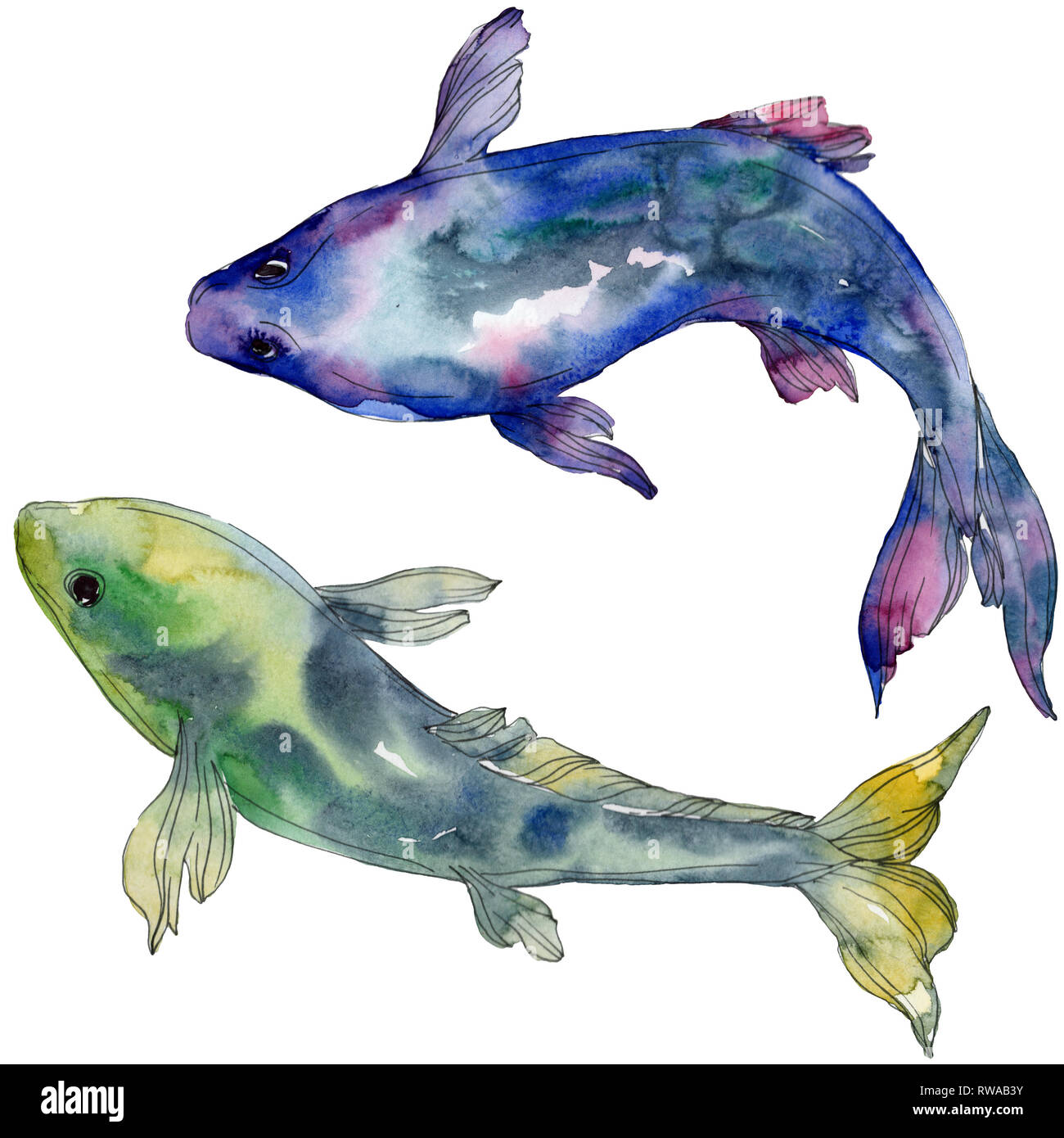 Tropical Fish Watercolor