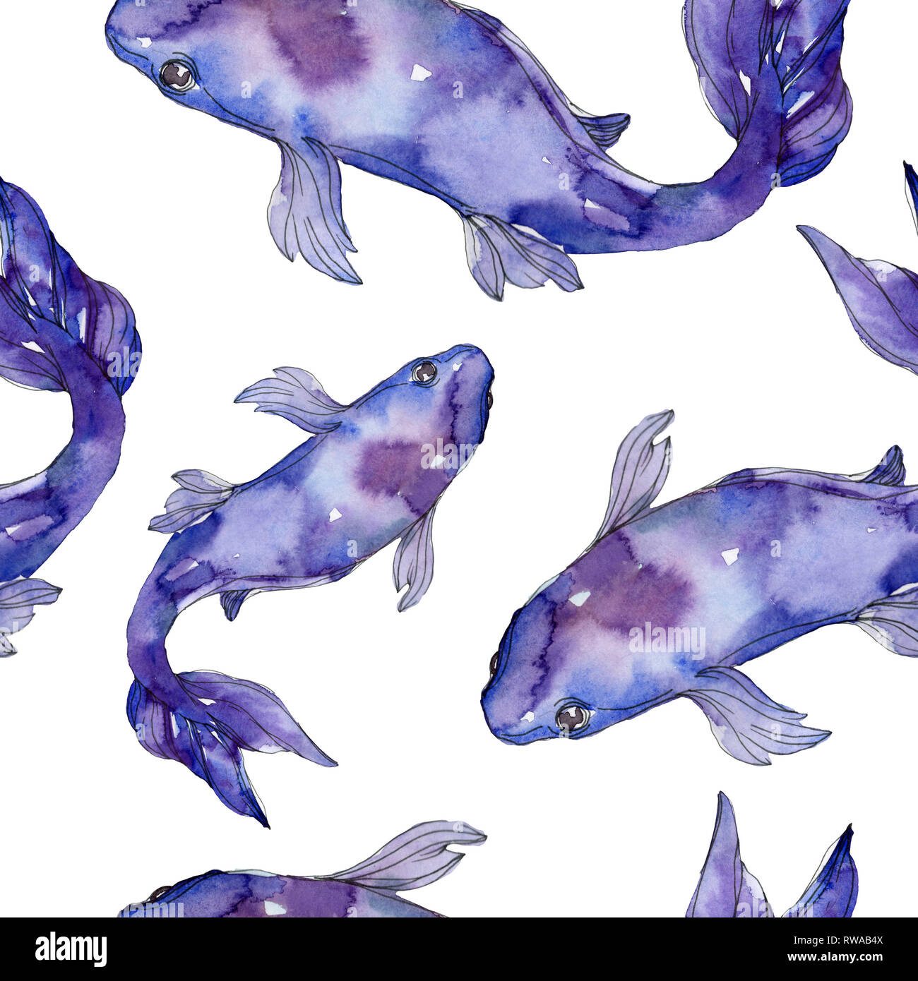 Aquatic fish set. Red sea and exotic fishes inside: Goldfish ...