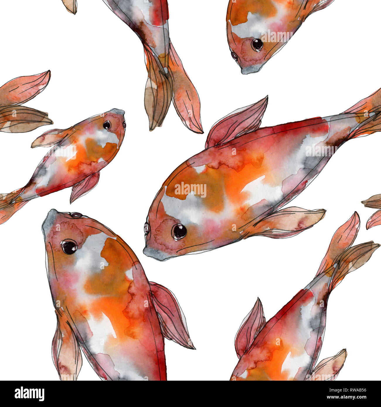 Aquatic fish set. Red sea and exotic fishes inside: Goldfish ...