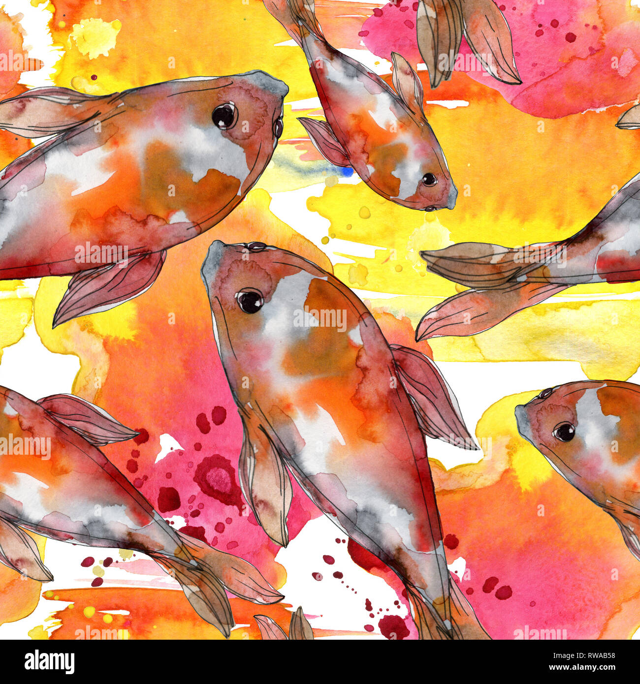 Aquatic fish set. Red sea and exotic fishes inside: Goldfish ...