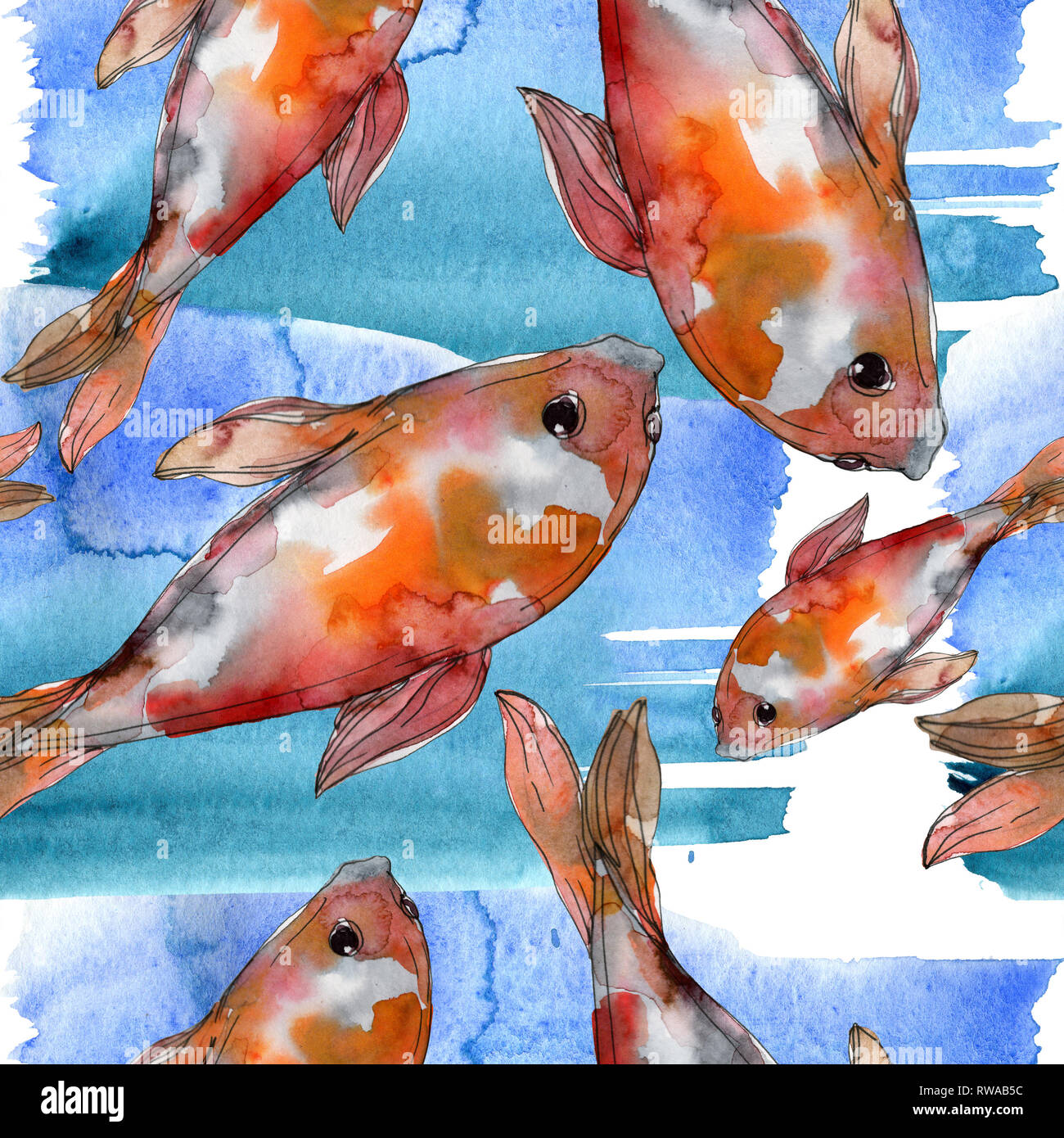 Aquatic fish set. Red sea and exotic fishes inside: Goldfish ...