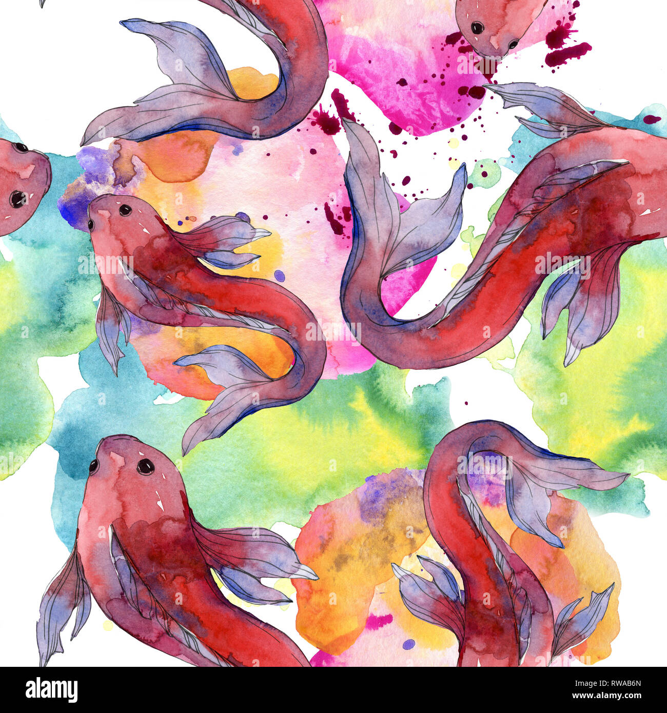 Aquatic fish set. Red sea and exotic fishes inside: Goldfish ...
