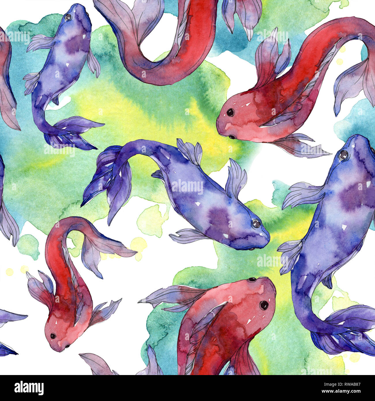 Aquatic fish set. Red sea and exotic fishes inside: Goldfish ...