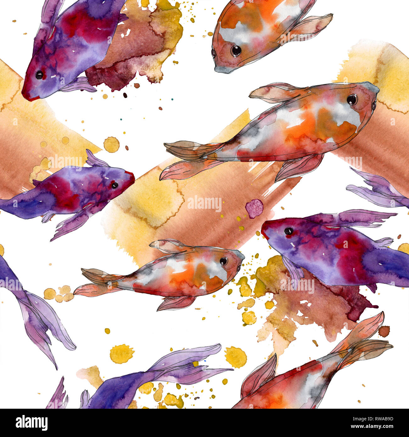 Aquatic fish set. Red sea and exotic fishes inside: Goldfish ...