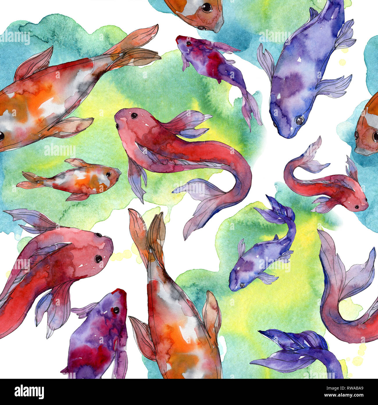 Aquatic fish set. Red sea and exotic fishes inside: Goldfish ...