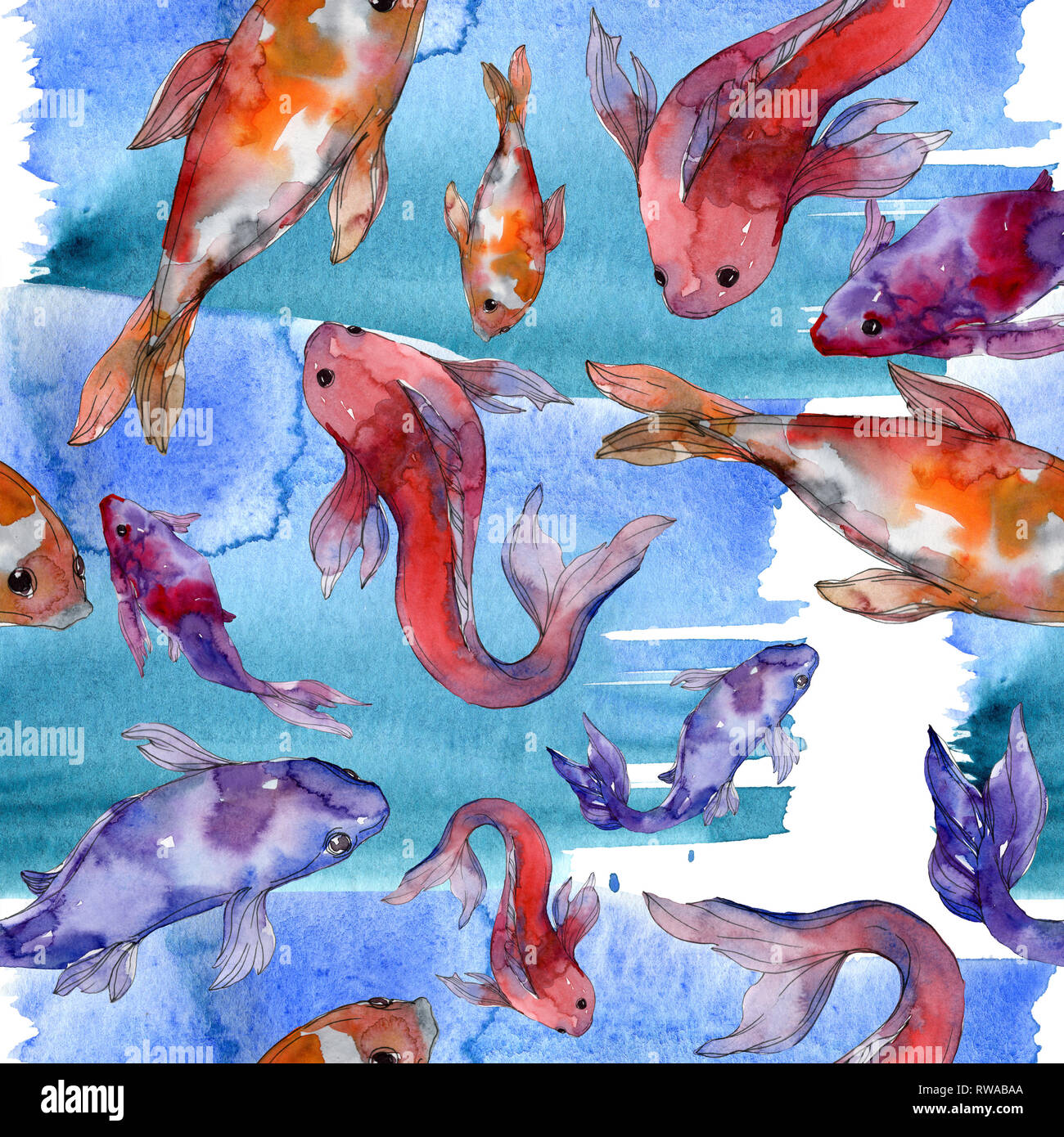 Aquatic fish set. Red sea and exotic fishes inside: Goldfish ...