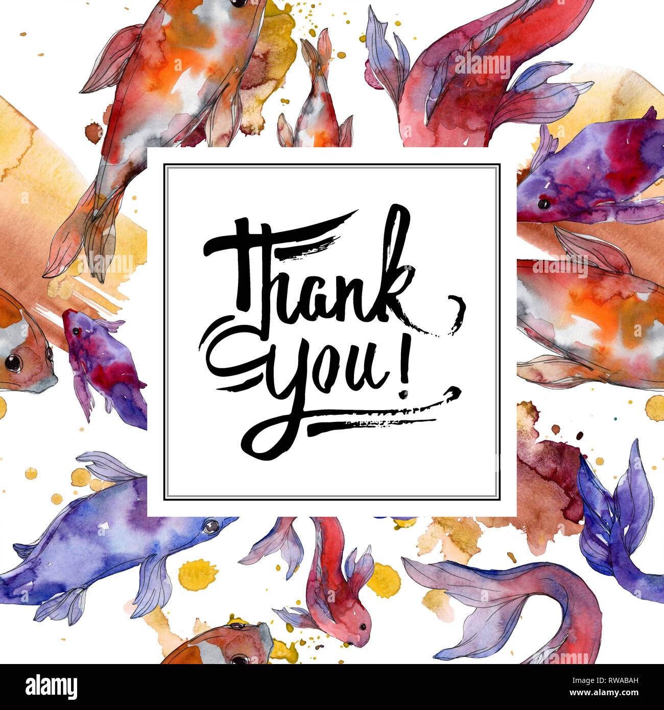 Aquatic underwater tropical fish set. Red sea and exotic fishes inside ...